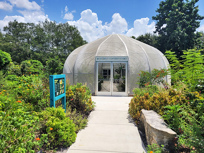 The Butterfly Conservatory stands like a gleaming biodome of wonder, housing delicate winged jewels that make even the most stoic visitors smile with childlike delight.