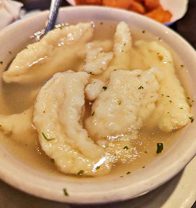 Tender chicken dumplings in rich broth prove that comfort food doesn't need to be complicated to be perfect.