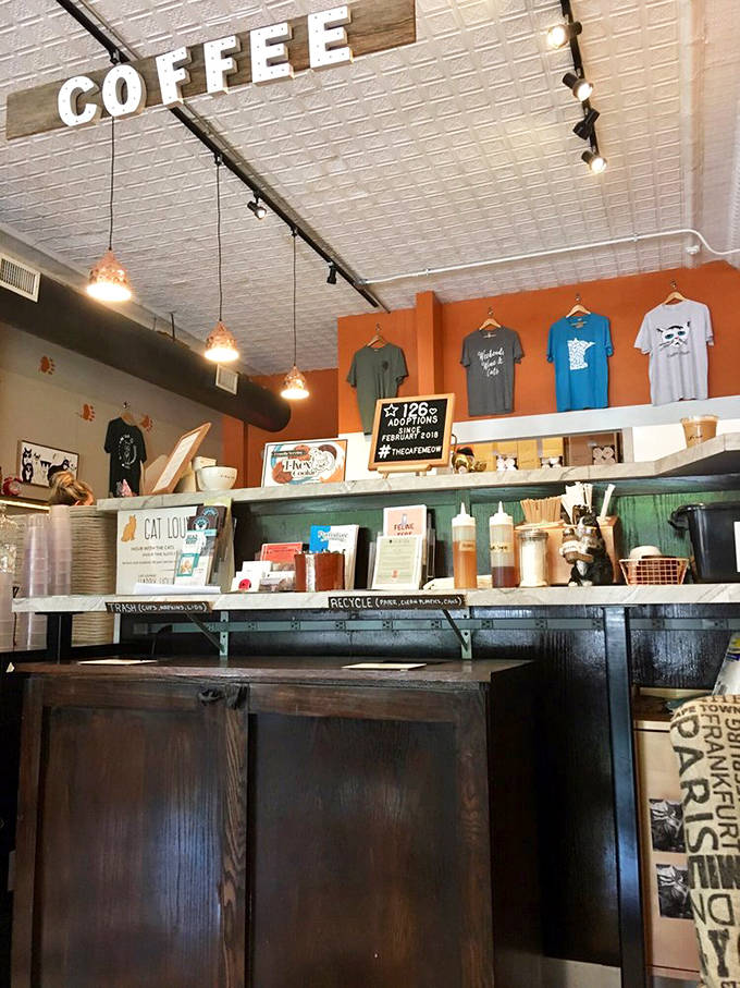 The coffee bar stands ready for caffeinated creations, with "COFFEE" proudly displayed overhead &ndash; because priorities should be clear.