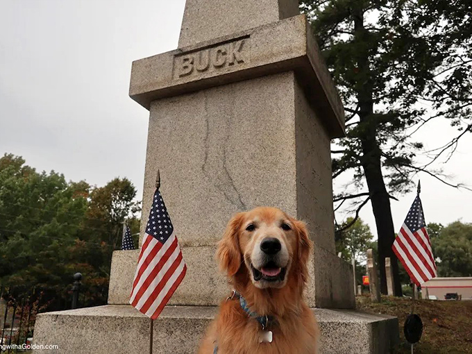 Even dogs seem to sense something unusual about this monument – this golden retriever pauses thoughtfully before the mysterious stone marker.