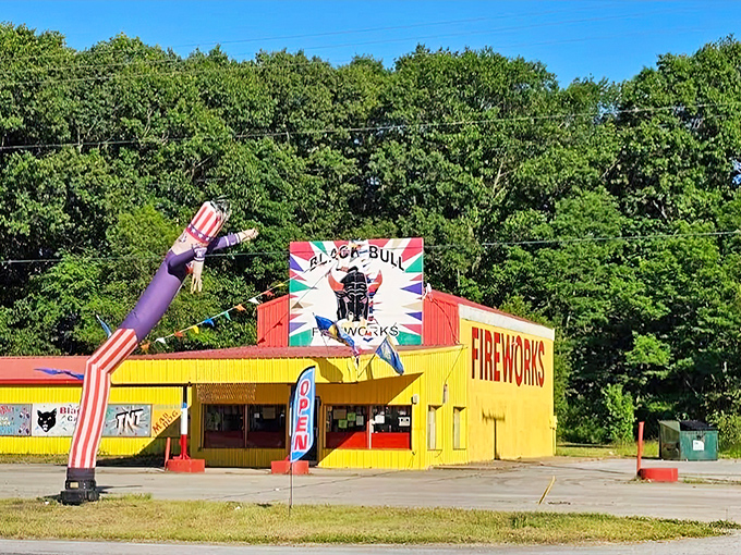 Nothing says "welcome to state borders" quite like a technicolor fireworks emporium, complete with an inflatable tube man doing the wave.
