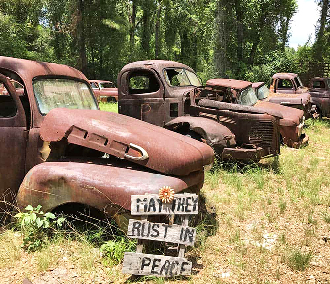 May They Rust In Peace &ndash; a quirky roadside attraction featuring vintage vehicles slowly returning to the earth.