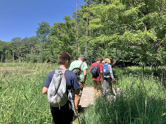 Explorers navigate the delicate balance between accessibility and wilderness on this human pathway through fragile wetlands.