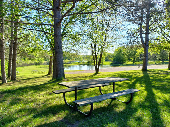 A simple picnic table becomes the best restaurant in Minnesota when paired with this tranquil lakeside view &ndash; no reservations required.