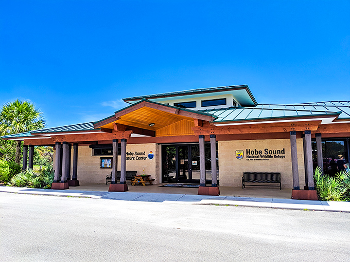 Hobe Sound Nature Center &ndash; where Florida's wild heart still beats strongly beneath a canopy of native pines.