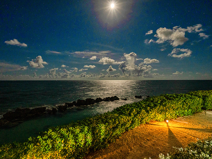 Moonlight transforms your island into a magical realm where stars compete with reflections for who can twinkle brightest.