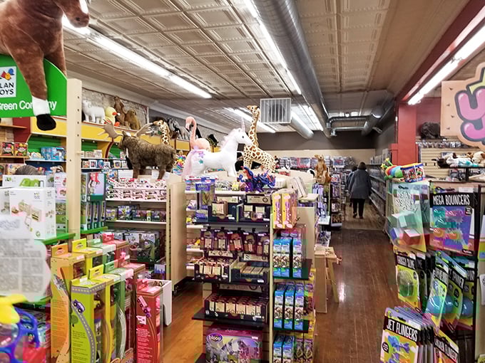 Out of the Box isn't just a toy store, it's an imagination emporium where wooden toys, puzzles, and games promise screen-free family fun.