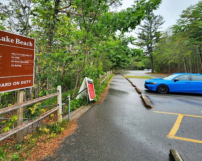 That fresh forest air is waiting for your relaxing lakeside day!