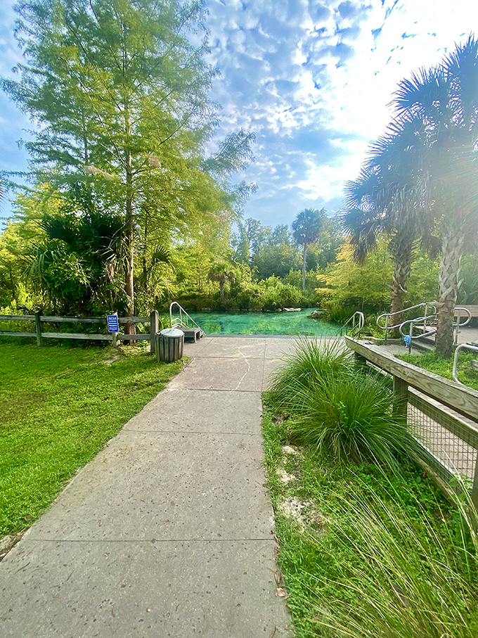 This inviting pathway leads to aquamarine treasures, each step bringing you closer to nature's perfect swimming hole.