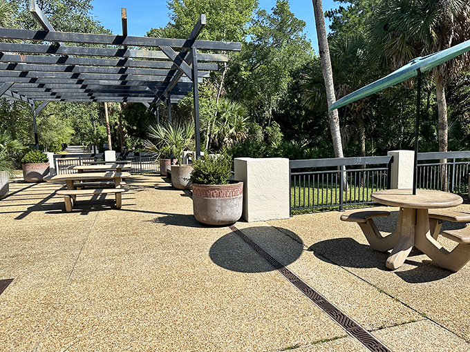 Picnic tables positioned for optimal "making your friends jealous on social media" potential. The food always tastes better with this view.