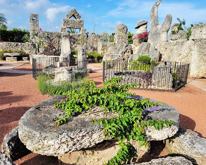 Nature reclaims small corners of the castle grounds, plants finding footholds in the porous coral rock.