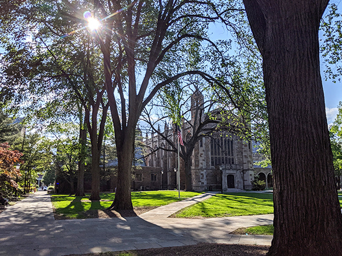 Dappled light creates the perfect Instagram backdrop for "casual" photos that actually took 47 attempts to capture that scholarly-yet-approachable vibe.