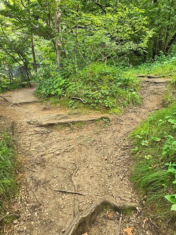Dirt paths wind through Ramsey Park like nature's own choose-your-own-adventure story, each turn promising new discoveries for willing walkers.