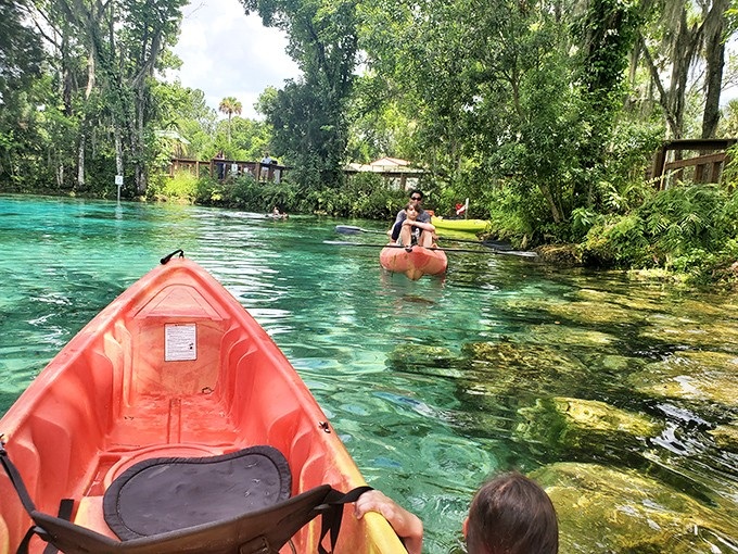 "Did we just become best friends?" Visitors finding their sea legs in manatee territory.