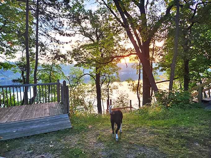 Nature's perfect nightlight – a Budd Lake sunset paints the sky in colors no filter could improve.