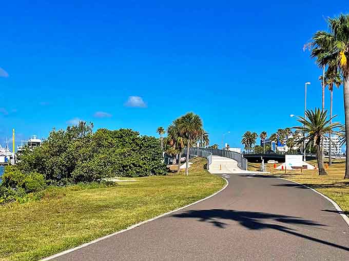 This trail proves that sometimes the best adventures don't require mountain terrain – just add water and endless sky.