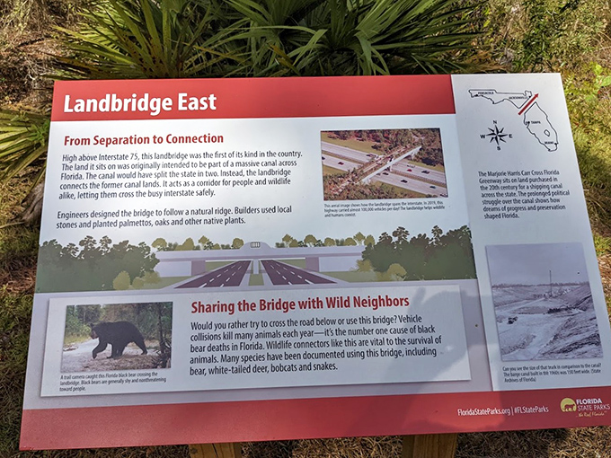 History meets conservation: This informative display reveals how the Land Bridge transformed from ambitious idea to ecological necessity.