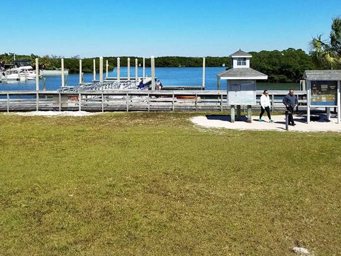 A grassy expanse meets the waterway, where boats bob gently like apples in a Halloween bucket.