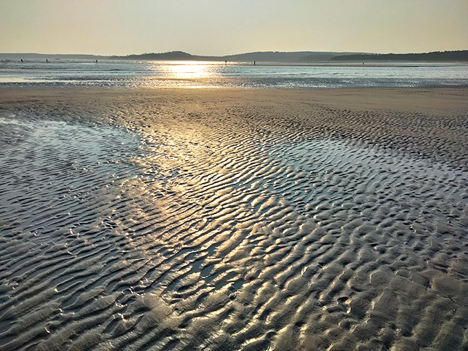 Low tide transforms Popham Beach into a rippled canvas of sand art, nature's temporary masterpiece erased with each returning wave.