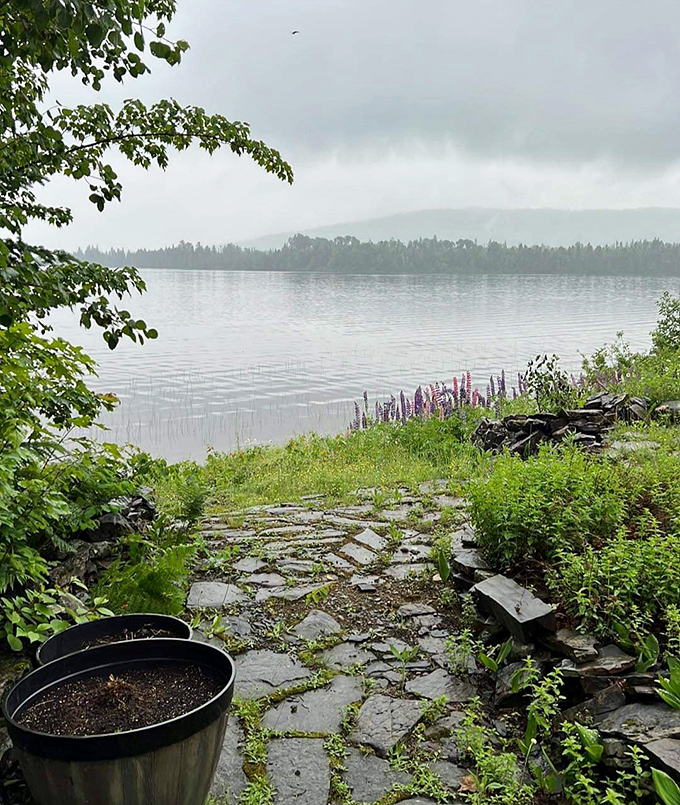 A stone pathway leads to tranquil waters, where purple lupines add splashes of color to the shoreline like nature's own welcome committee.