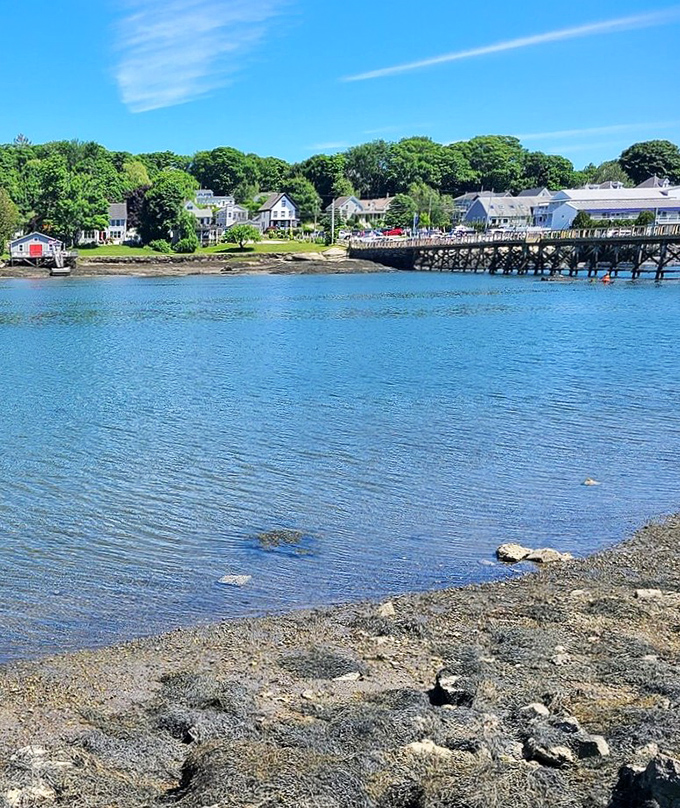 Rocky shorelines meet crystal waters in nature's perfect arrangement, showcasing Maine's rugged coastal beauty in its purest form.