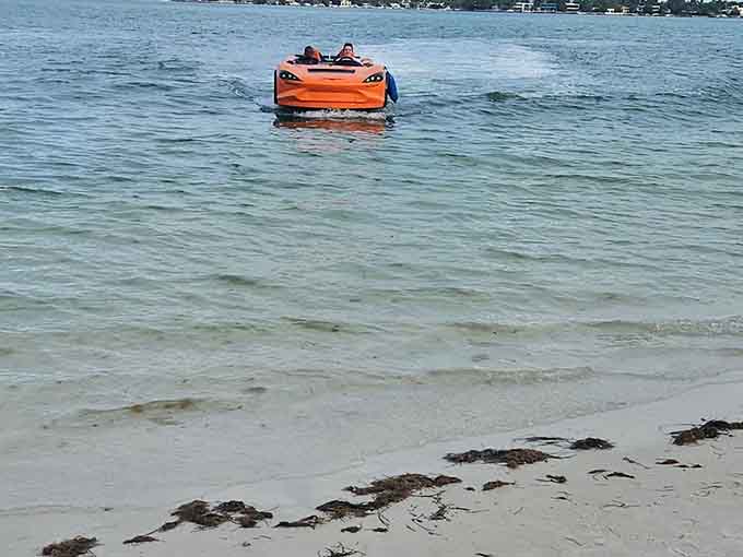 Even beached on the shore, this aquatic automobile looks ready for action, proving that some vehicles are just too cool to stay in one element.