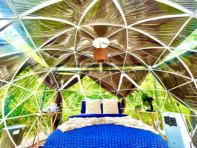 Inside the dome, comfort meets cosmos as plush bedding invites you to dream while stars keep watch overhead.