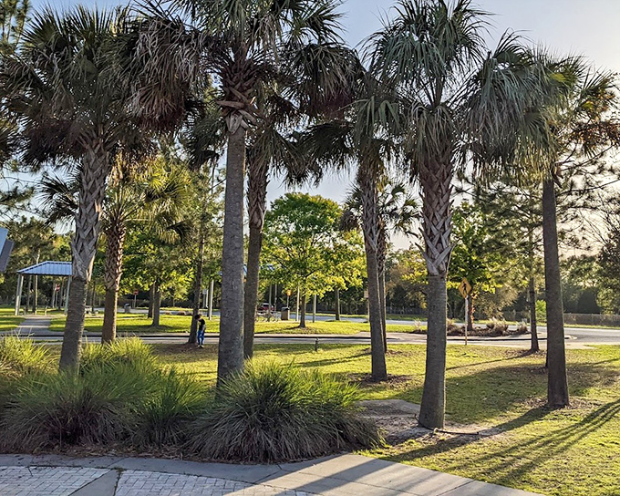 Those towering palms cast dramatic shadows across walkways designed for your first vacation stroll on Florida soil.