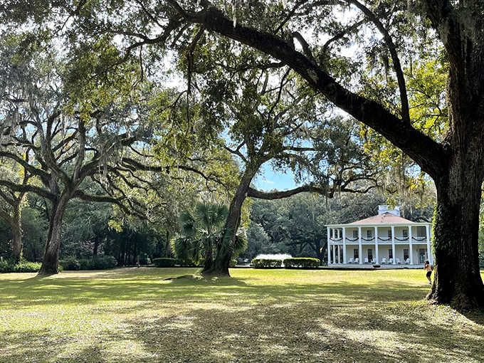 Eden Gardens State Park: A magnificent antebellum mansion surrounded by moss-draped oaks that whisper stories of Old Florida.