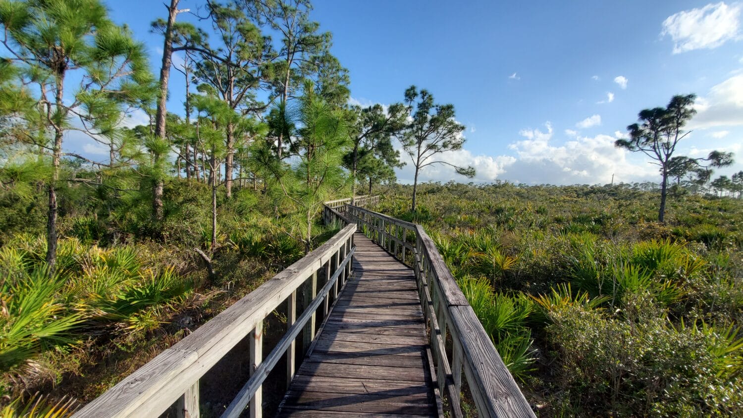 A 0.5 mile loop trail that takes you through various ecosystems