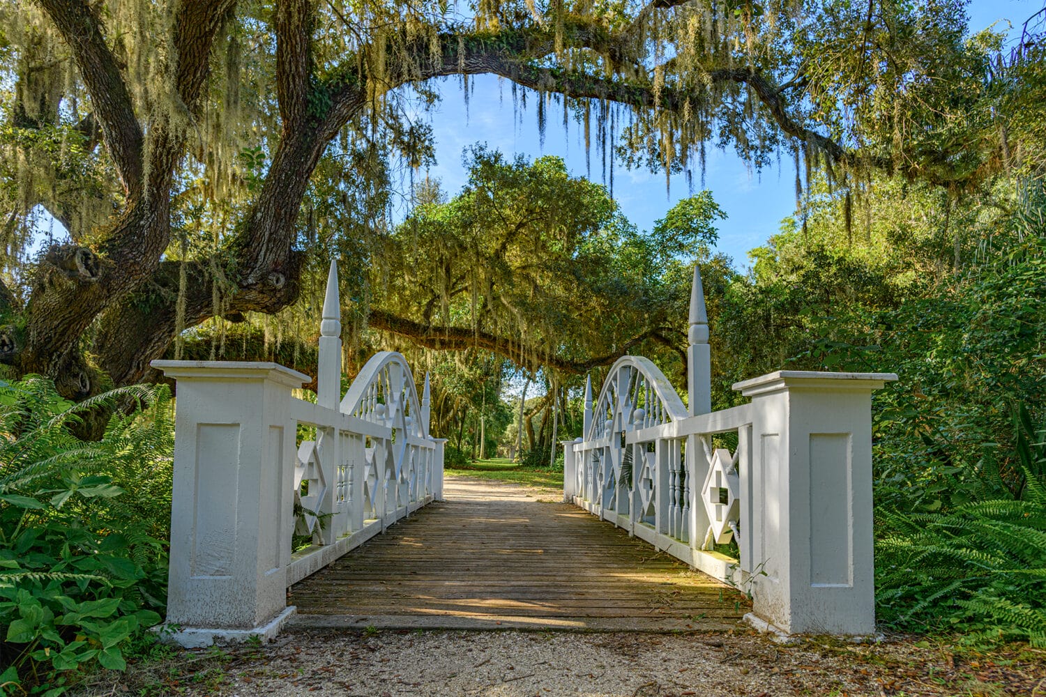 A beautiful image of the state park