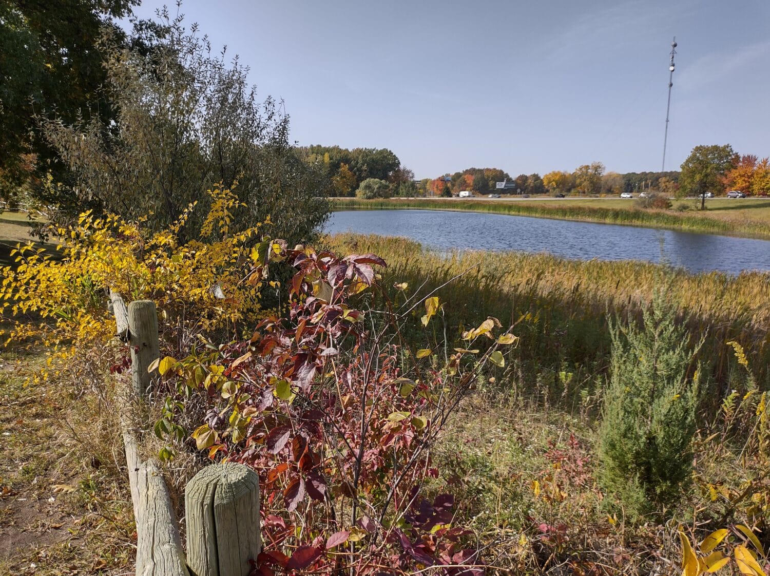 a beautiful nature view in the area of the visitors center
