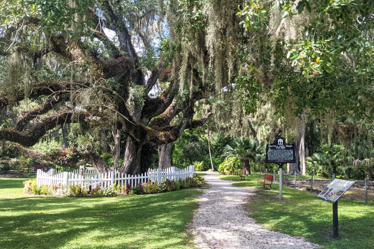 A beautiful shot of the garden showing its enchanting trees and peaceful vibe