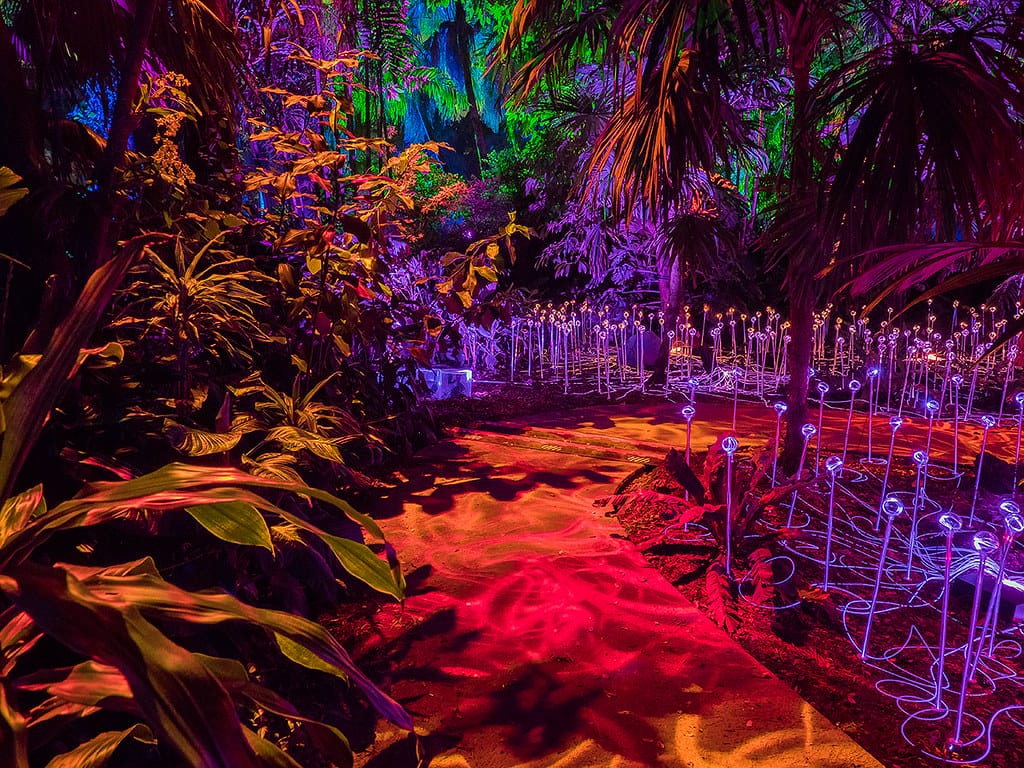 A colorful sight at the garden.