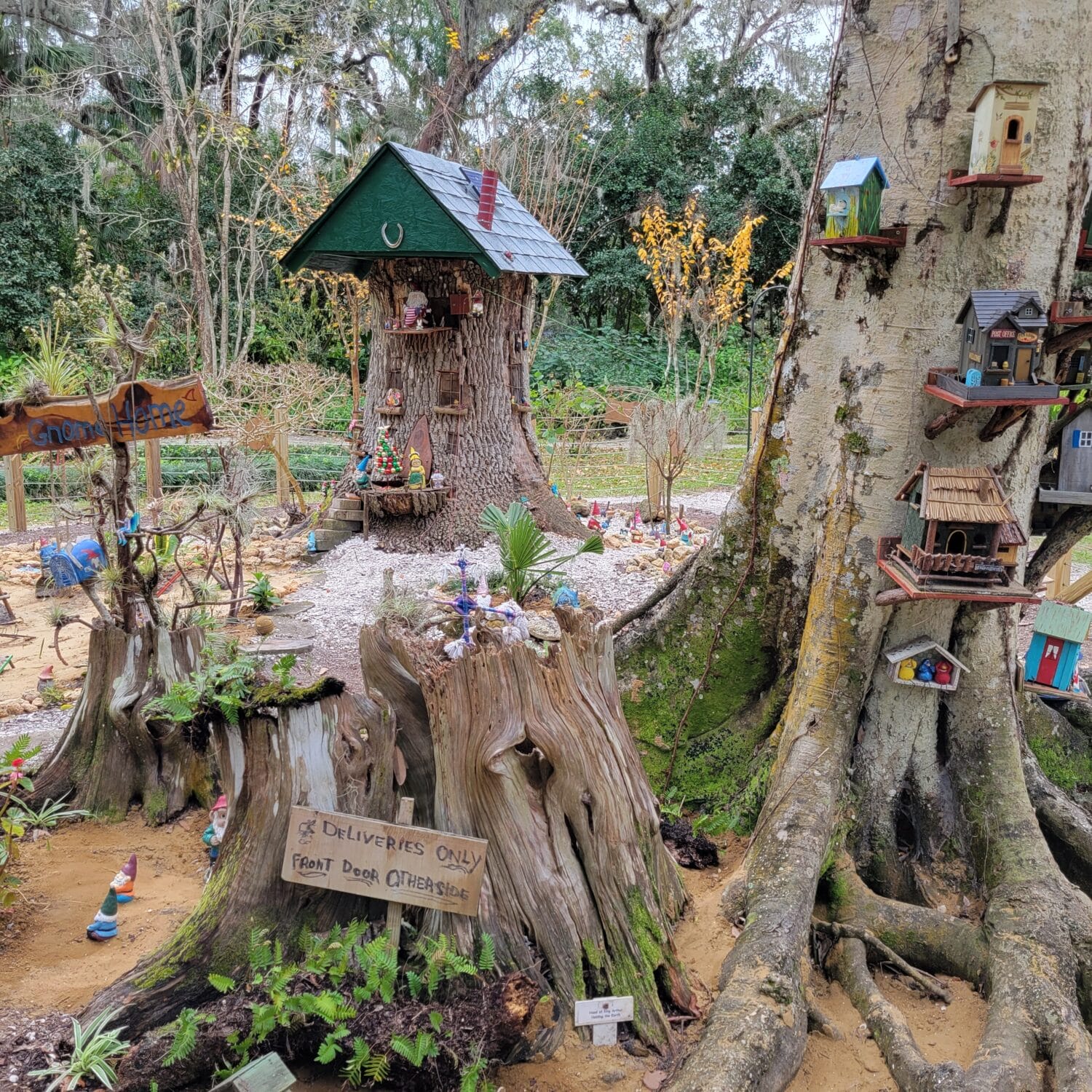 A cute image of a garden of gnomes