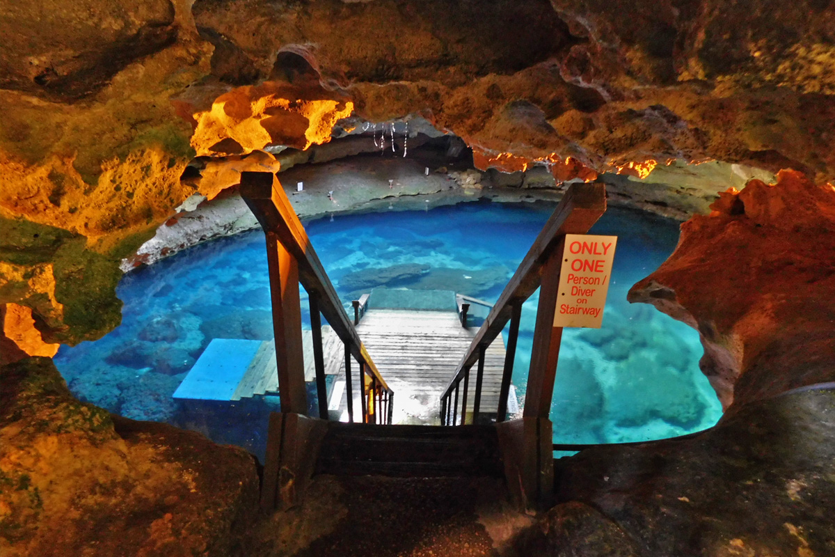 A magical view of Devil's Den Prehistoric Spring