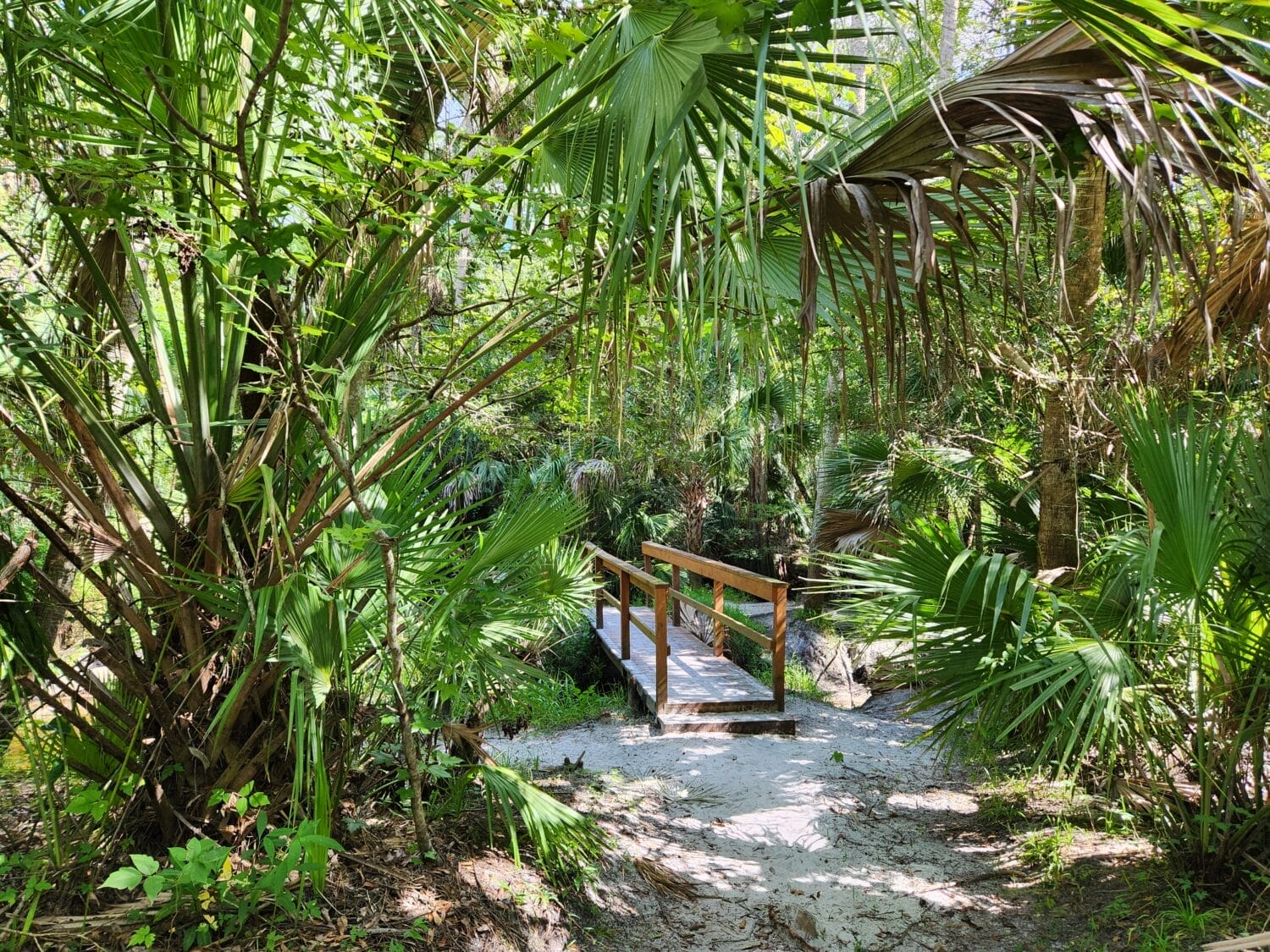 a narrow path that leads to a small wooden bridge