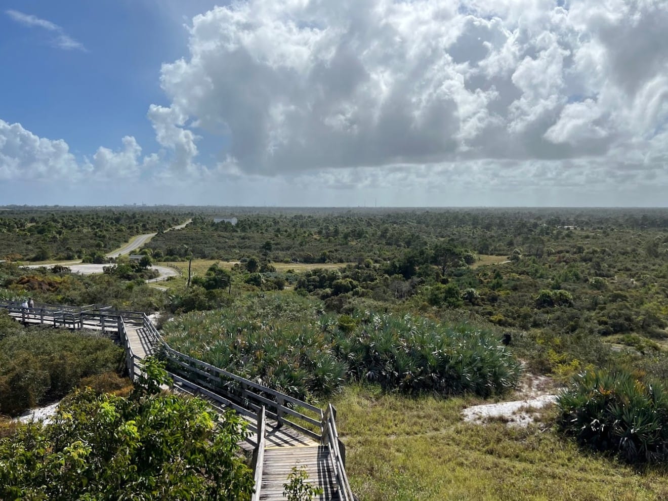 a panoramic view of a lush nature reserve from an elevated wooden walkway