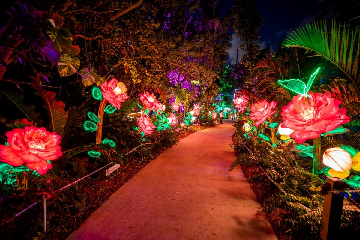 a pathway illuminated by vibrant oversized led flowers in luminosa festival