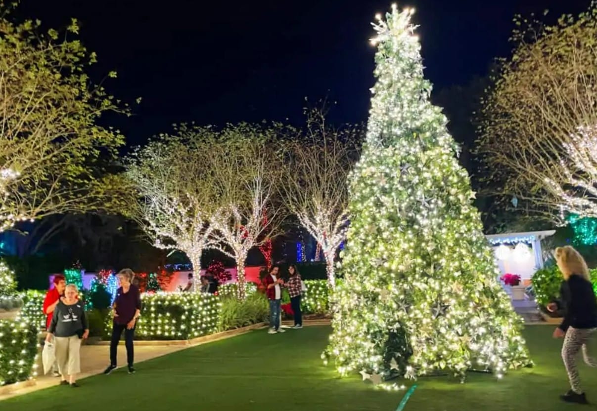a photo of the garden and its twinkling lights