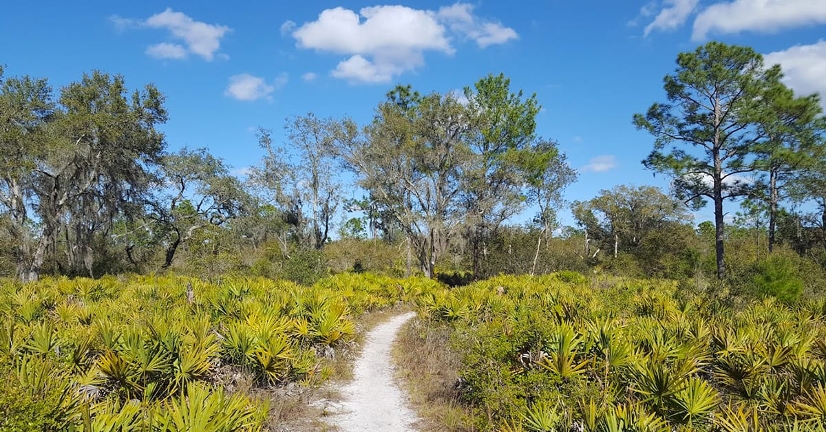 a scenic trail within the park