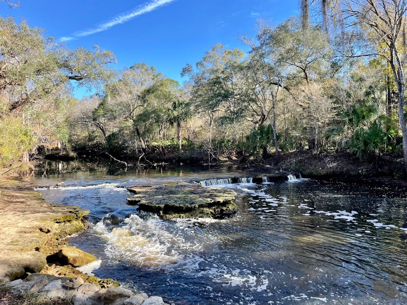 a scenic view of a flowing natural spring with cascading waters surrounded by lush woodland vegetation