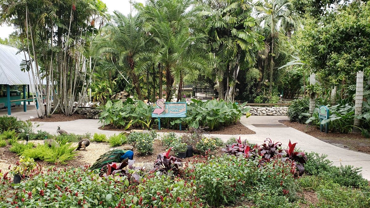 a serene pathway leading to flamingo pond surrounded by tropical plants at flamingo gardens