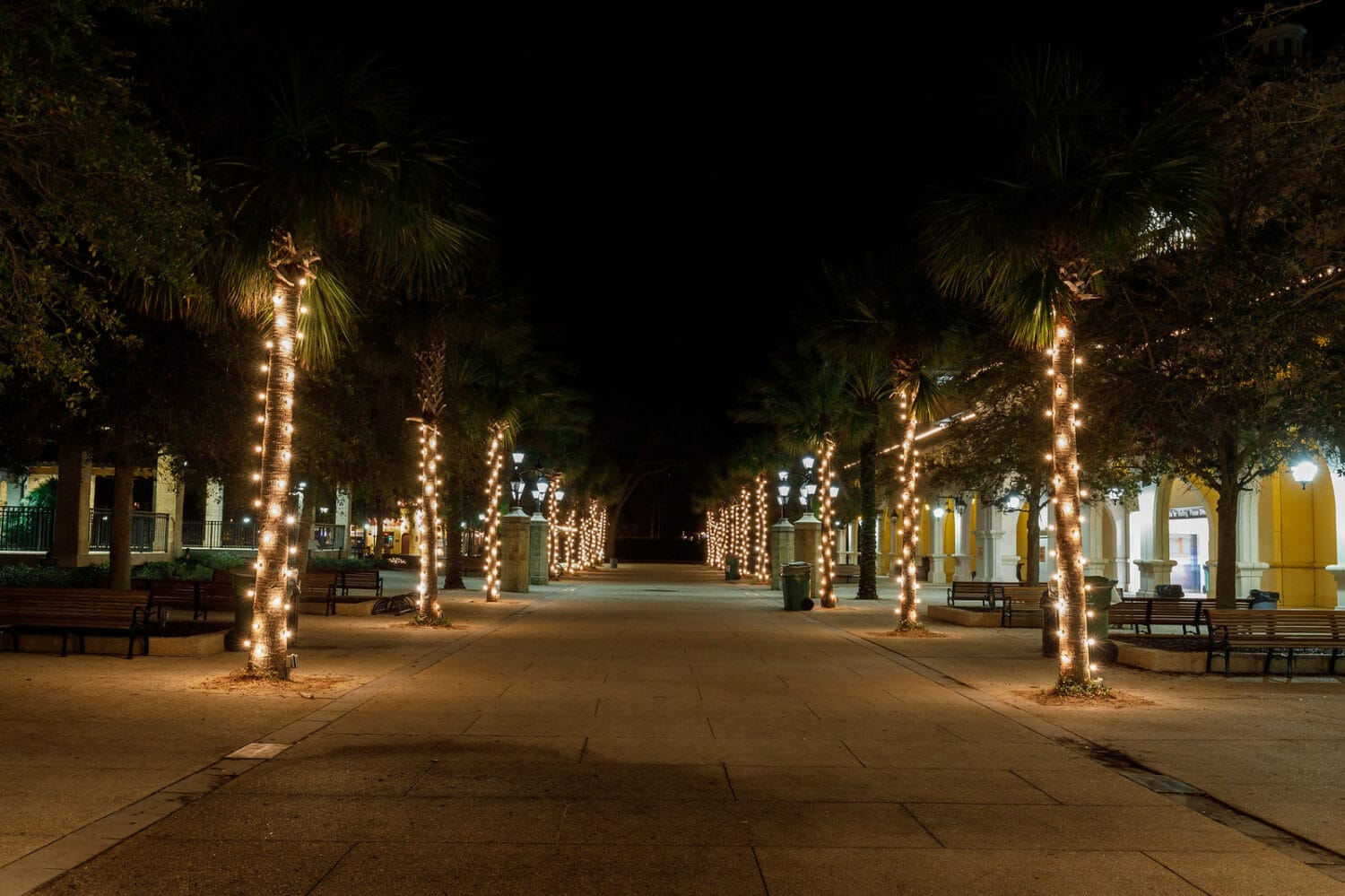 a street in st augustine lined with trees adorned with holiday lights