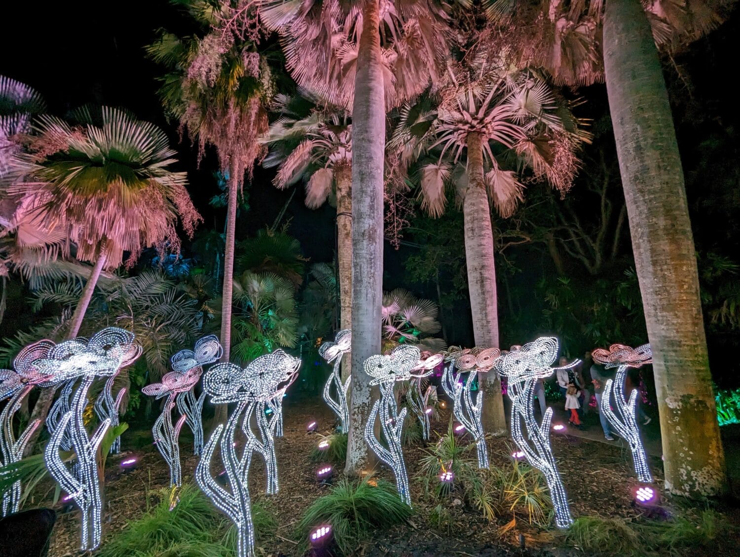 A stunning landscape of lights every winter at the botanical garden