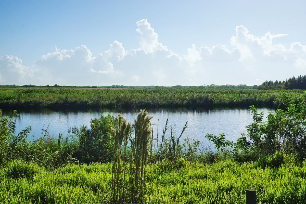 a sunny day at Lake Okeechobee