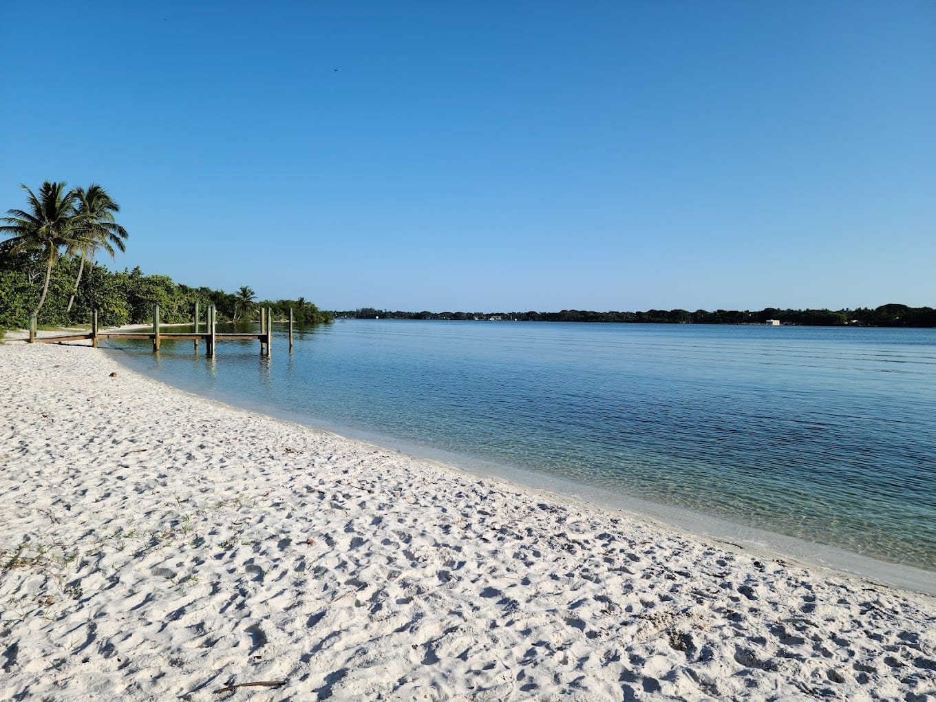 a tranquil beach scene with pristine white sands and calm blue waters flanked by lush green palm trees