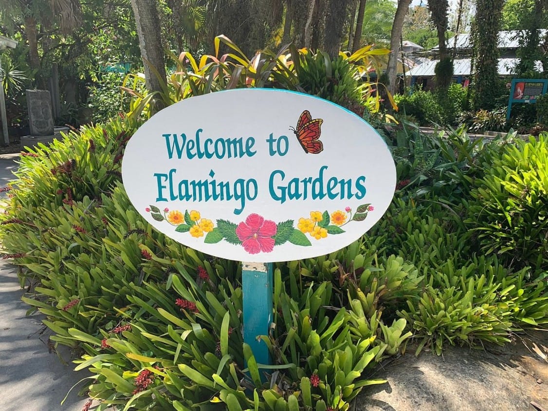 a vibrant welcome sign amidst lush greenery at the entrance to flamingo gardens