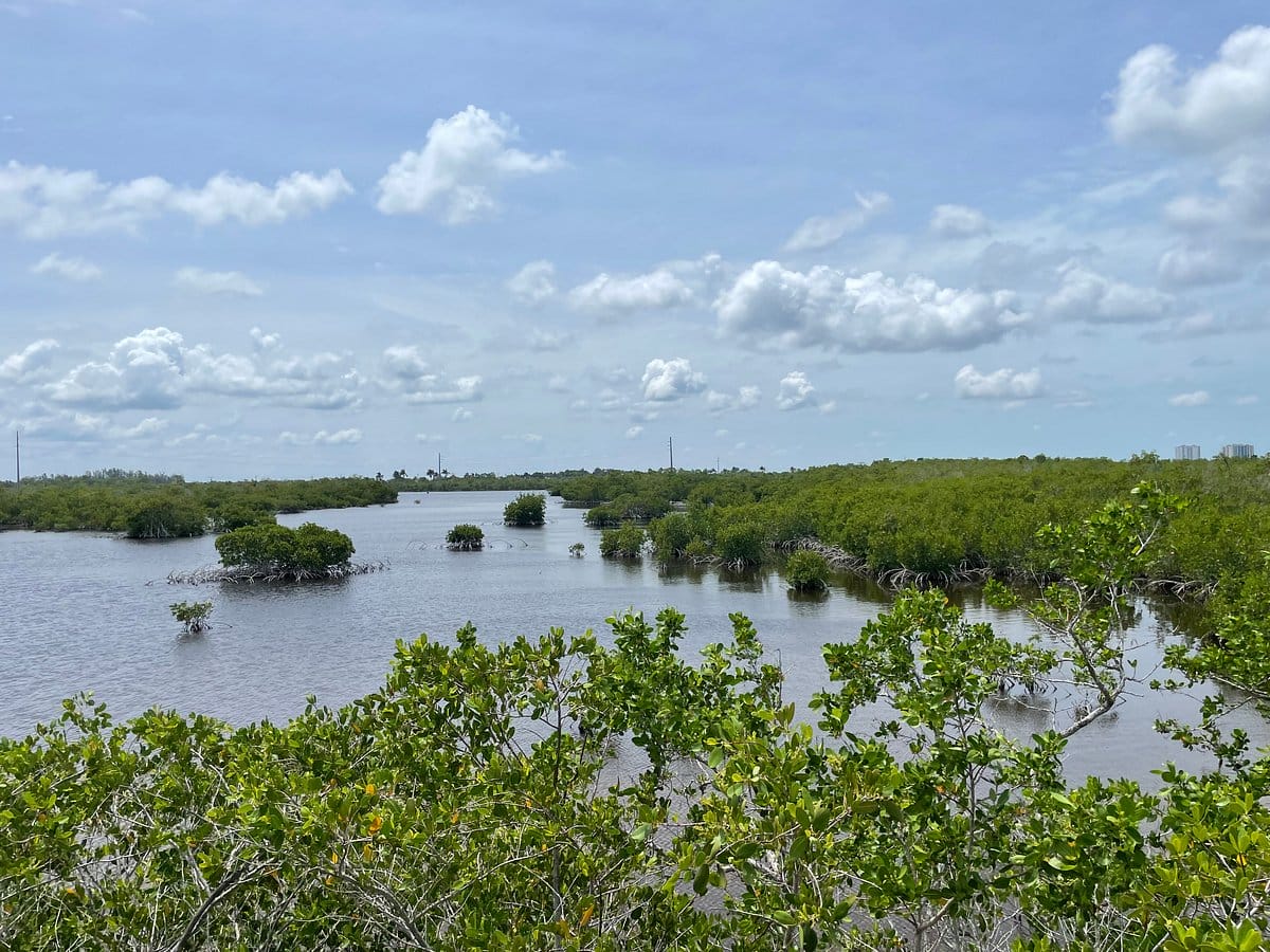 A view from the overlook with lovely views of the water