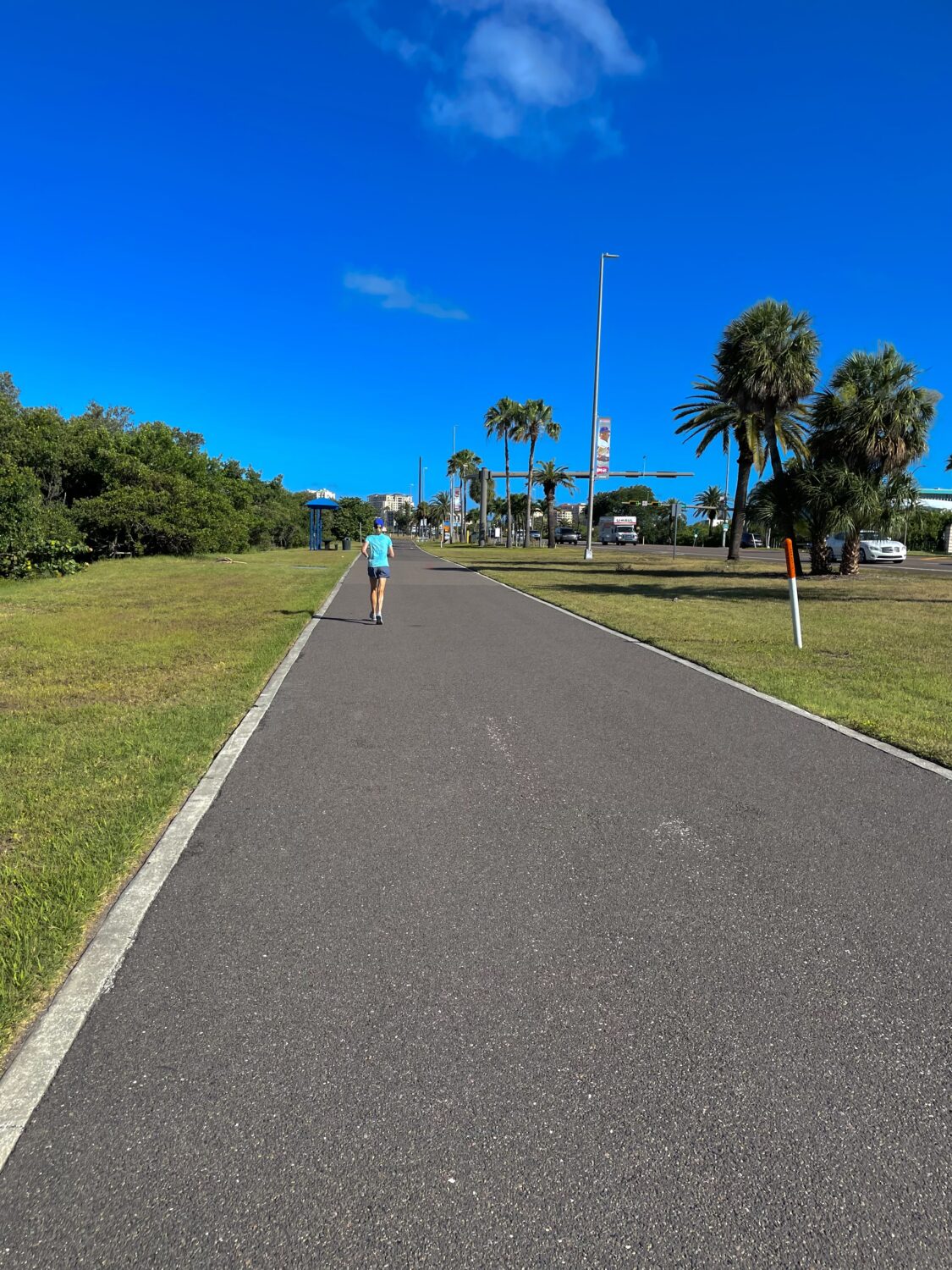 a view of the trail on pavement with trees lined up on the side